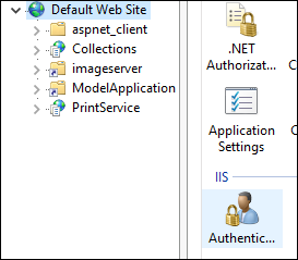 Application configuration options